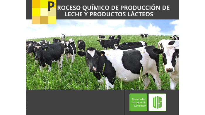 Proceso Químico de Producción de Leche y productos lácteos by Alexis VR ...