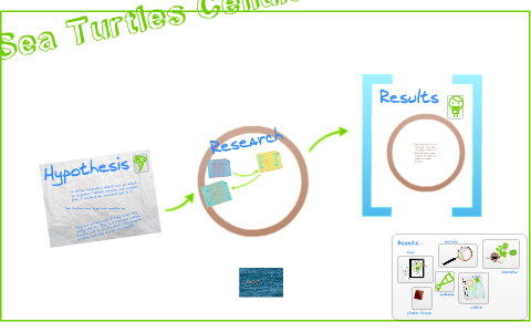 Sea Turtle Cellular Respiration by Bailey Peterson on Prezi