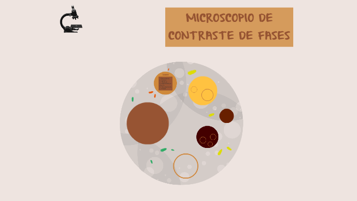 MICROSCOPIO DE CONTRASTE DE FASES by María Arias Delgado on Prezi