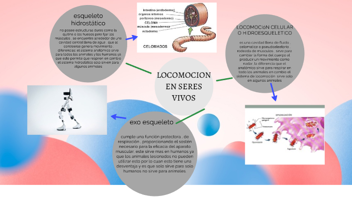 locomoción en seres vivos by Danna Ballesteros on Prezi