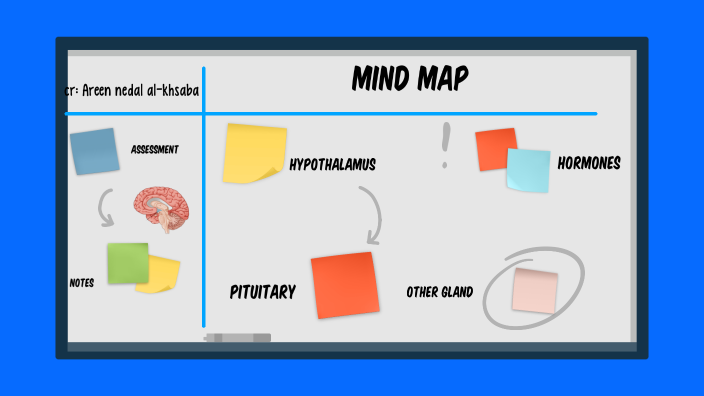 concept map for the endocrine system by Areen nedal on Prezi