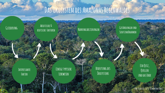 Amazonas Ökosystem by JOHN Glizzy on Prezi