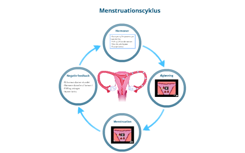 Menstruationcyklus by pernille jørgensen on Prezi