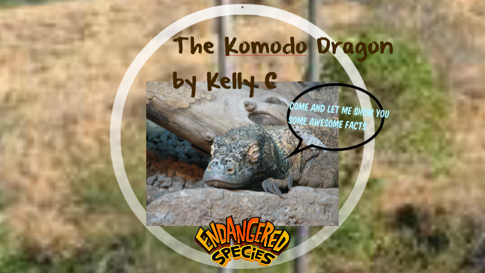 Komodo dragon by Kelly Castillo by on Prezi