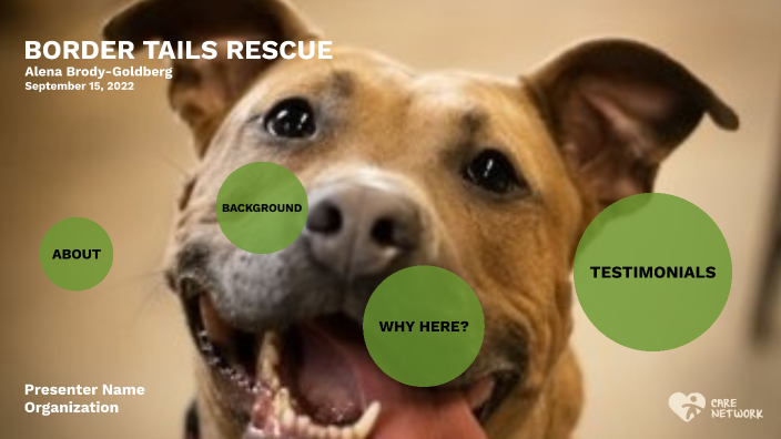 Border Tails Rescue - DVS by Alena BG on Prezi