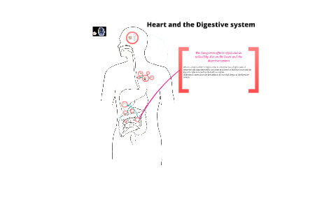 Heart and the Digestive system by David O'Loughlin on Prezi