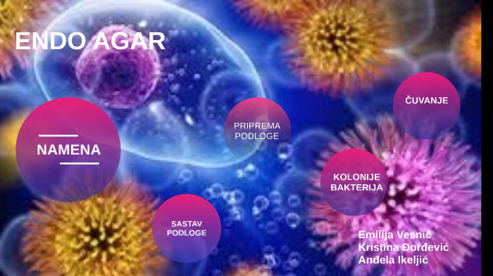 Endo agar by Kristina Djordjevic on Prezi