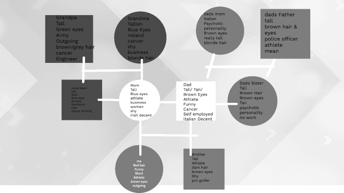 genogram by kayla Lanza on Prezi
