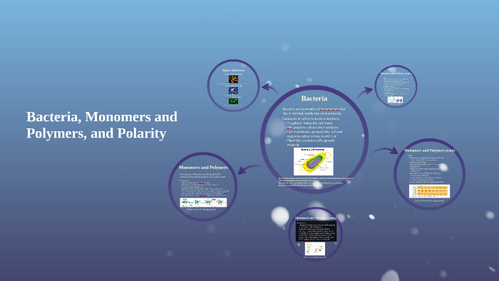 Bacteria, Monomers and Polymers, and Polarity by Aaron Phung on Prezi