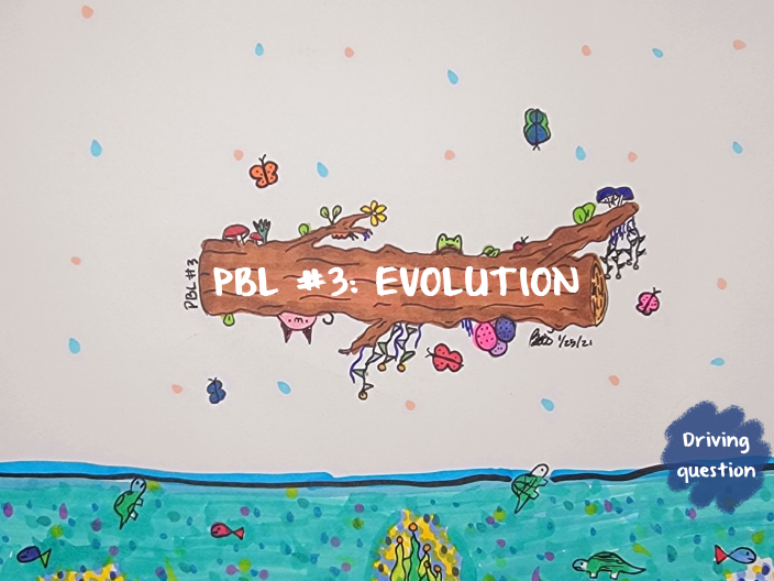 PBL Evolution by AnaBaoTessaLena McCormickNguyenLuuVintrlikova on Prezi