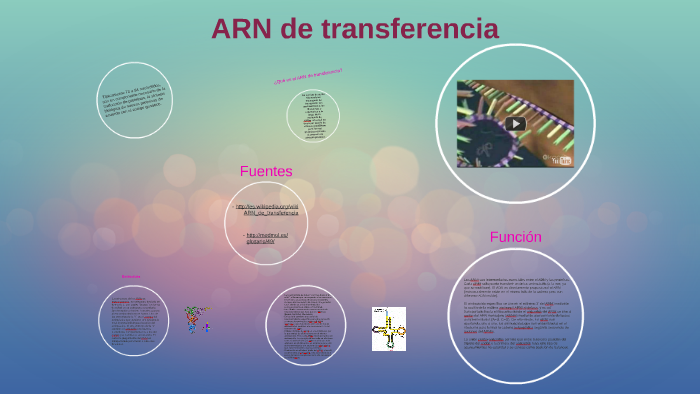 ARN de transferencia by fanny gomez on Prezi