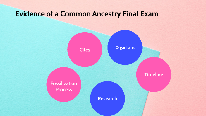 Evidence of a Common Ancestry Final Exam by Darasimi Lanre-Ahmed on Prezi