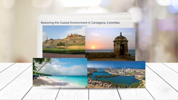Restoring the Coastal Environment in Cartagena, Colombia by YACKELINE ...