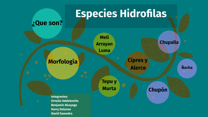 Especies Hidrofilas by DAVID ALEJANDRO SAAVEDRA PERANCHIGUAI on Prezi