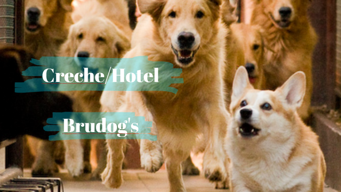 Daycare BruDog's by Diego Silva on Prezi