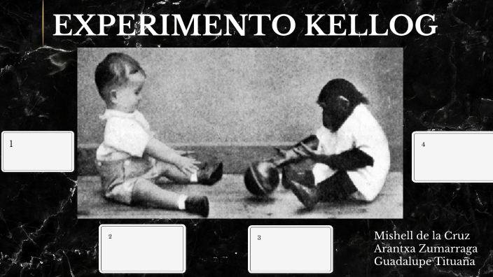 Experimento Kellogg by talia guadalupe Tituaña Soto on Prezi