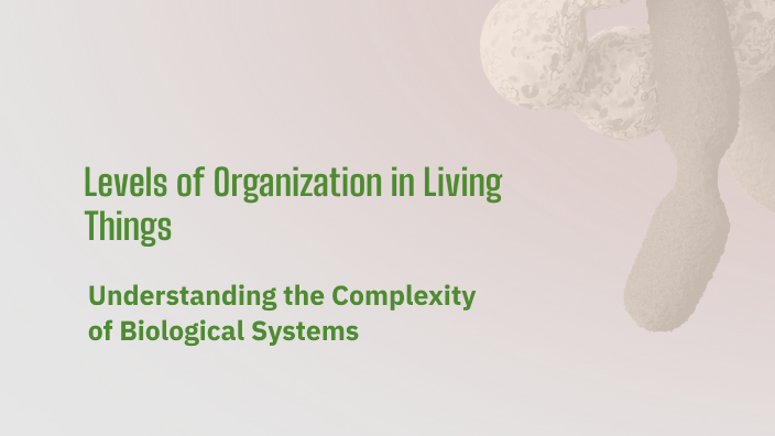 Levels of Organization in Living Things by Natalia Rodriguez on Prezi