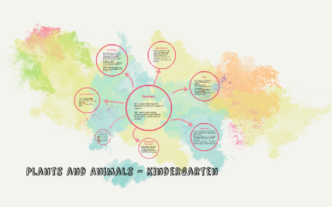 Plants and Animals - Kindergarten by Megan Greene on Prezi