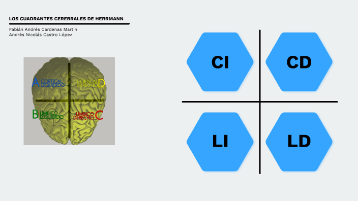El Modelo de los cuadrantes cerebrales de Herrmann by Andrés Nicolás ...