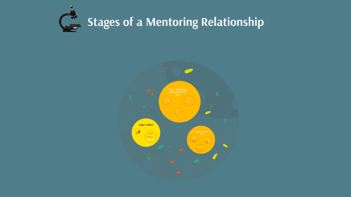Stages of a Mentoring Relationship by Linda on Prezi