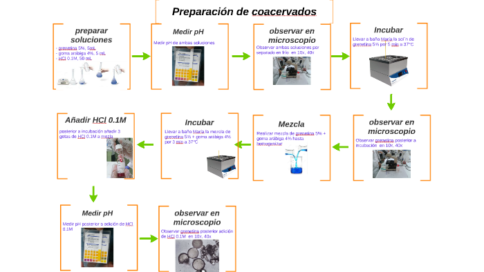 coacervados by Lily Sáenz on Prezi
