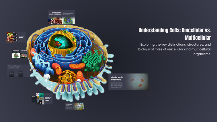 Understanding Cells: Unicellular vs. Multicellular by mary ann orillo ...