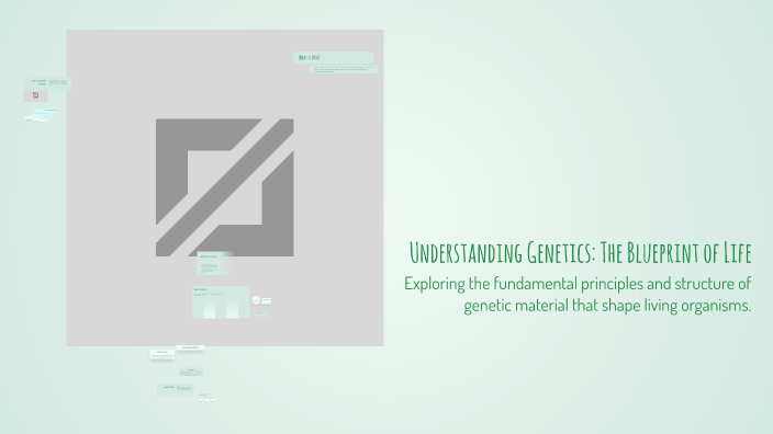 Understanding Genetics: The Blueprint of Life by Mohammed Ibrahim Kamil ...