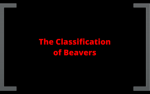 Beaver Classification by Isaac Whitham on Prezi