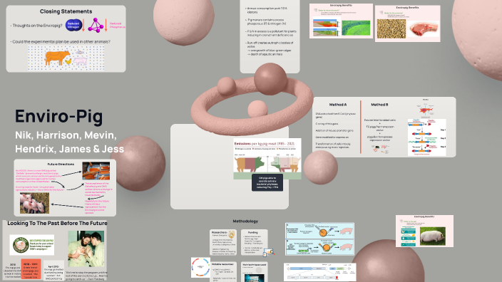 Enviropig by Hendrix Rp on Prezi