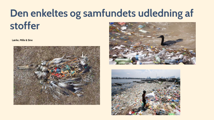 den enkeltes og samfundets udledning af stoffer by mille kaae on Prezi