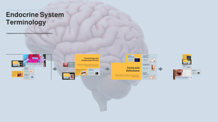 Endocrine System Terminology by سميه ابراهيم شكرى محمد on Prezi