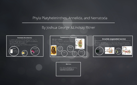 Phyla Platyhelminthes, Annelida, and Nematoda by John Jones on Prezi