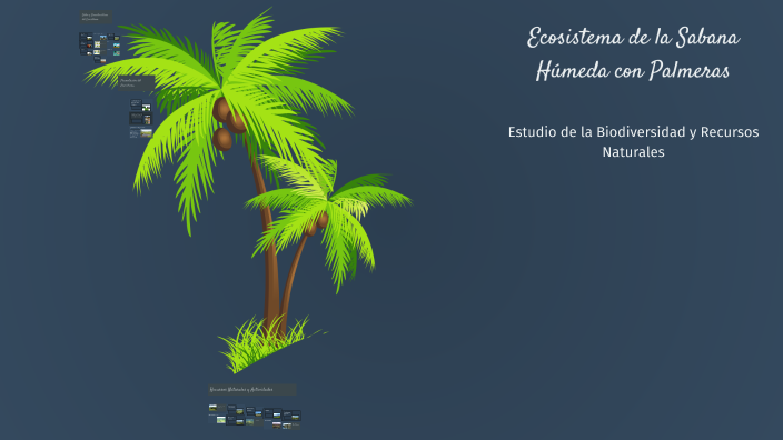 Ecosistema de la Sabana Húmeda con Palmeras by Kevin Morales Auris on Prezi