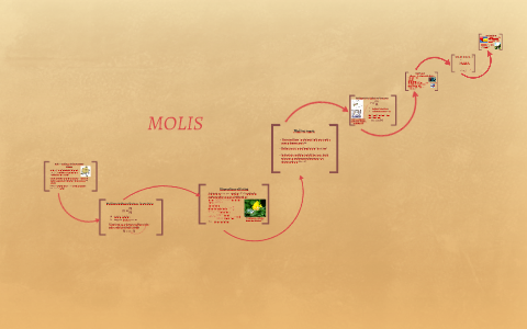 MOLIS by Regina Sinkevičienė on Prezi