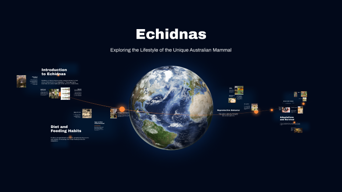Echidnas by Lev Thompson on Prezi
