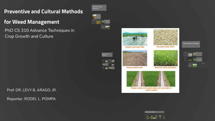 Preventive and Cultural Methods for Weed Management by Rodel Pompa on Prezi