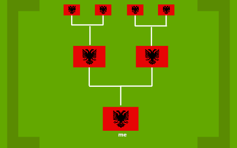 Cap Presentation - Flag Family Tree by Florida Emin on Prezi