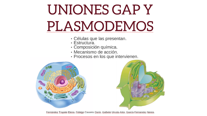 UNIONES GAP Y PLASMODEMOS by Darío Fidalgo Casares on Prezi
