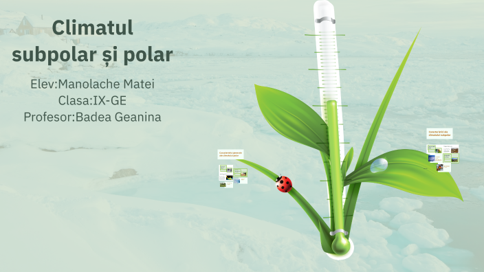 Climatul subpolar și polar by Matei Manolache on Prezi