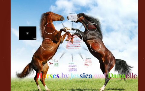 The History of Horses by Jessica LoPresti on Prezi