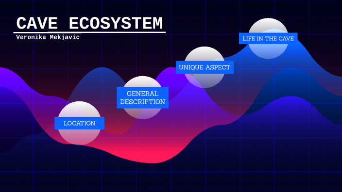 Cave ecosystem by Veronika Mekjavic on Prezi