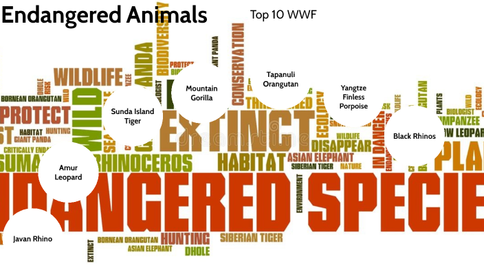 Endangered Animals by Logan Leysen on Prezi