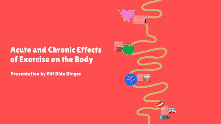 Acute and Chronic Effects of Exercise on the Body by elif dingec on Prezi
