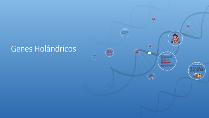 Genes Holândricos by Gabriel Fernandes on Prezi