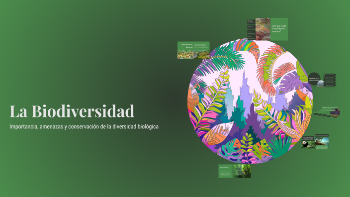 La Biodiversidad by Arthur Lazaro on Prezi