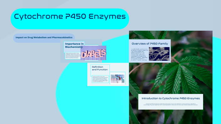 Cytochrome P450 Enzymes by OhRio on Prezi