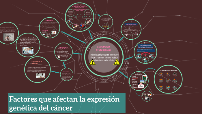 Factores que afectan la exprsion genetica del cancer e by Memy Prado on ...