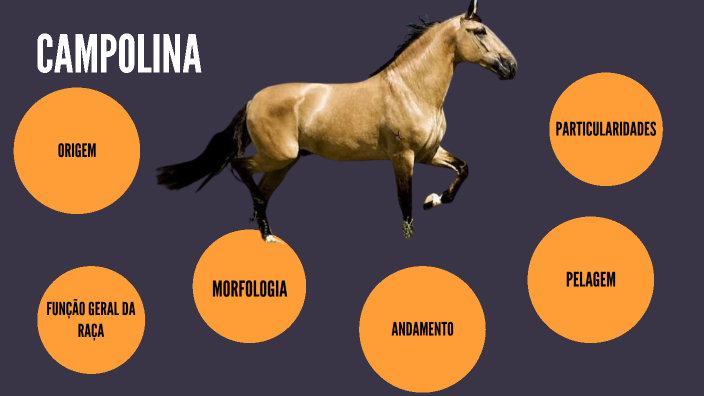 Campolina by Maria Coelho on Prezi