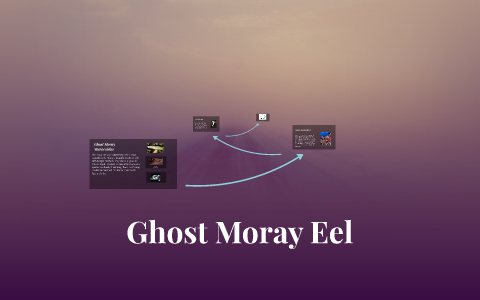 Ghost Moray Eel by HUNTER MUNROE on Prezi