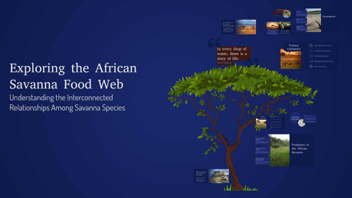 Exploring the African Savanna Food Web by Vania Di Bella Cadenas on Prezi